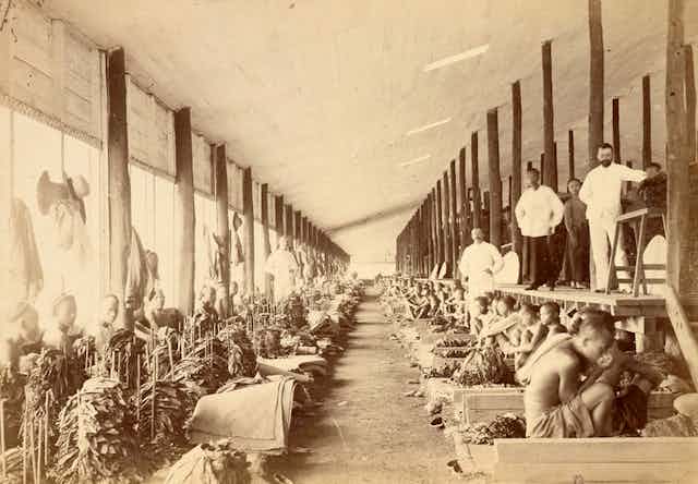 Potret hitam perbudakan rasis di perkebunan Medan era kolonial Belanda Potret hitam perbudakan rasis di perkebunan Medan era kolonial Belanda