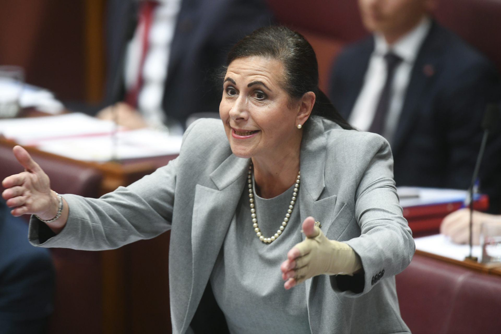 Politics with Michelle Grattan: Concetta Fierravanti-Wells on aged care ...