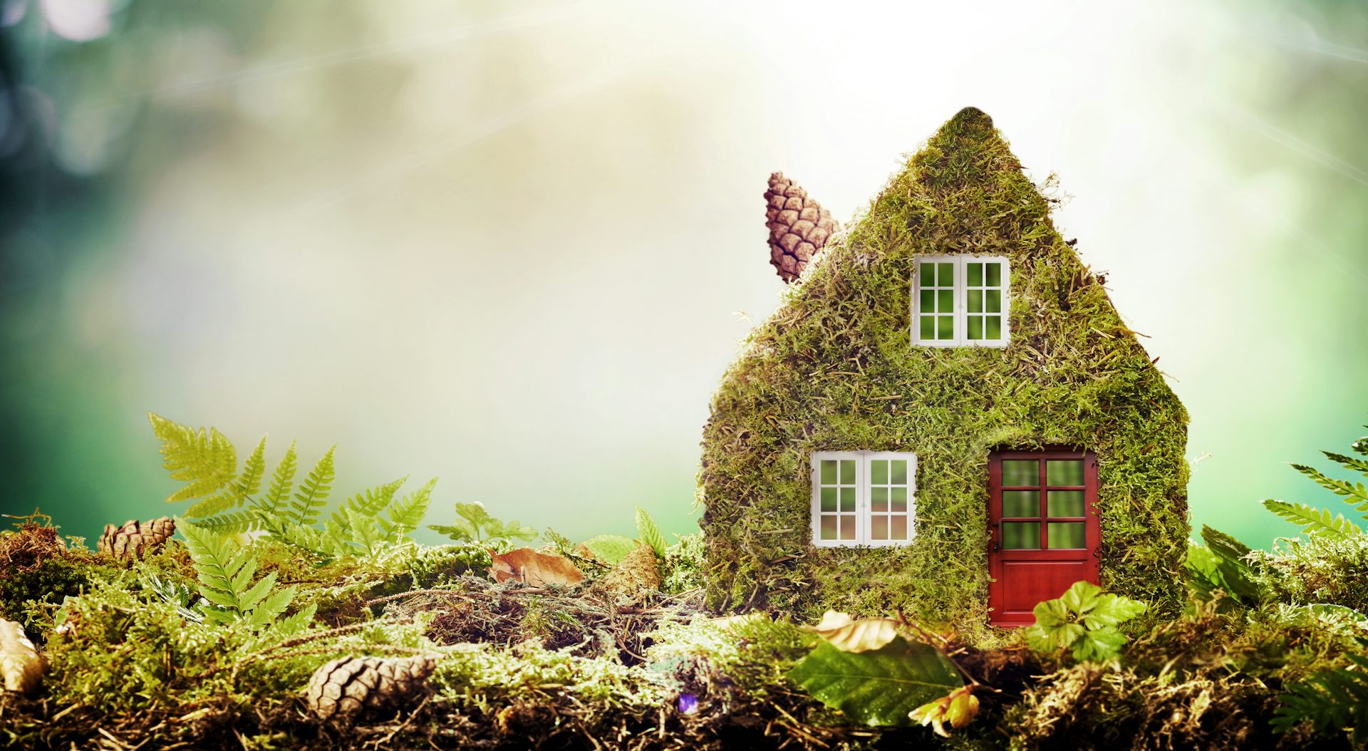Five cost-effective ways to reduce your carbon footprint at home