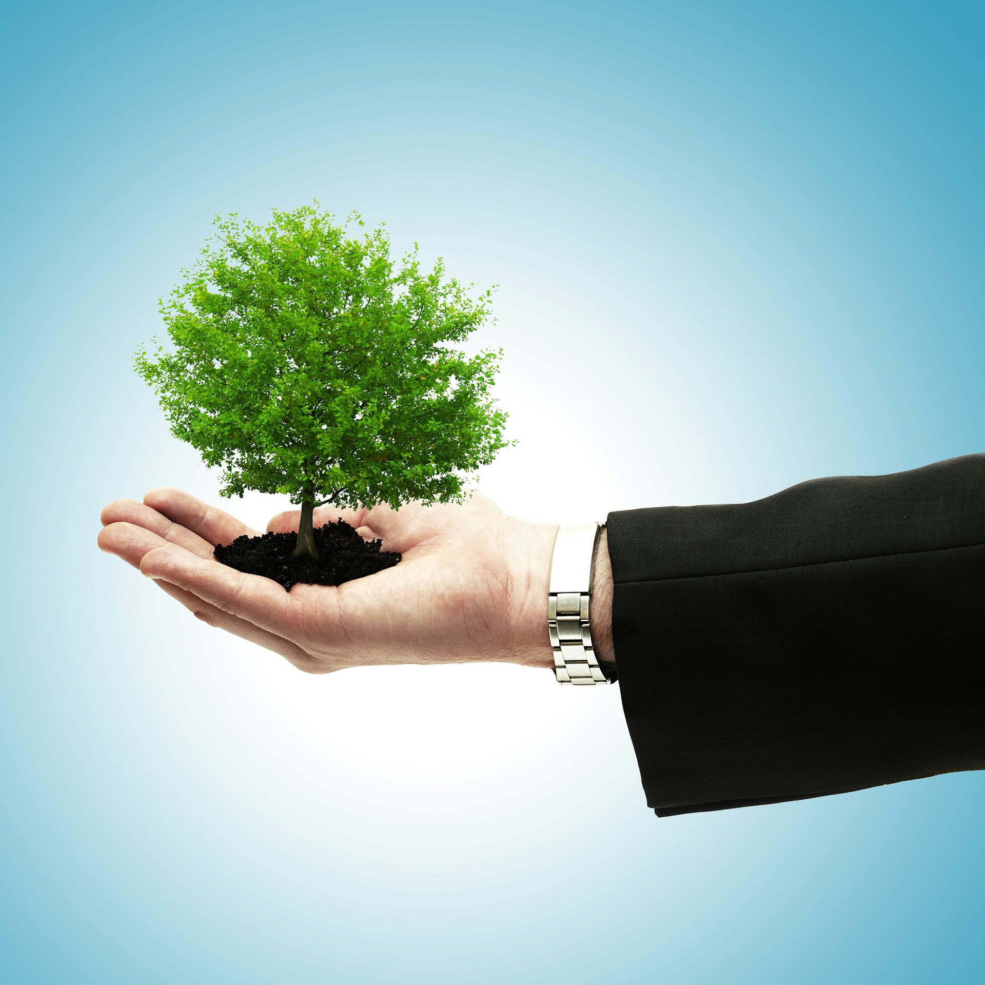 Invest in training green collar workers for a greener future