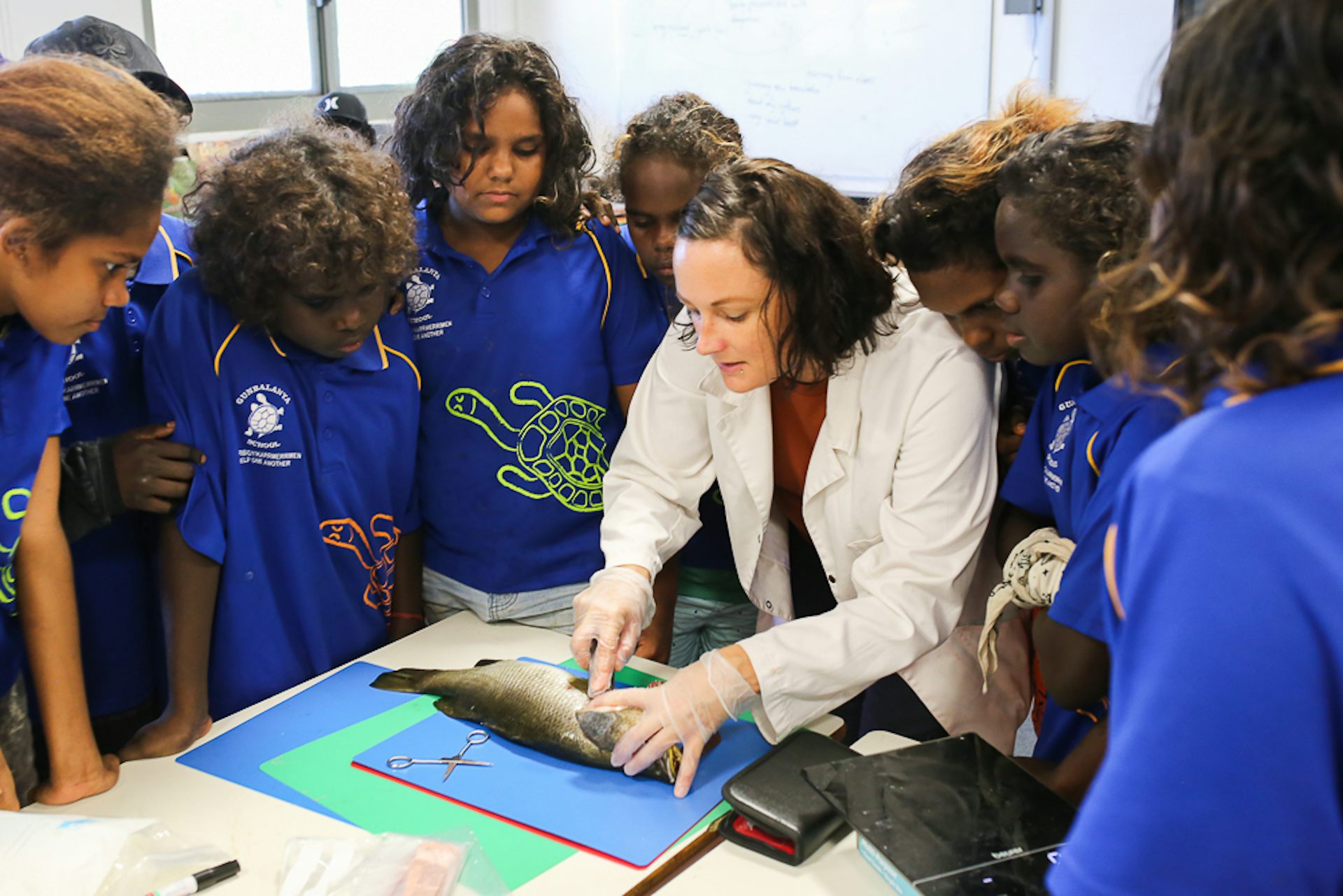 School of fish: how we involved Indigenous students in our ...