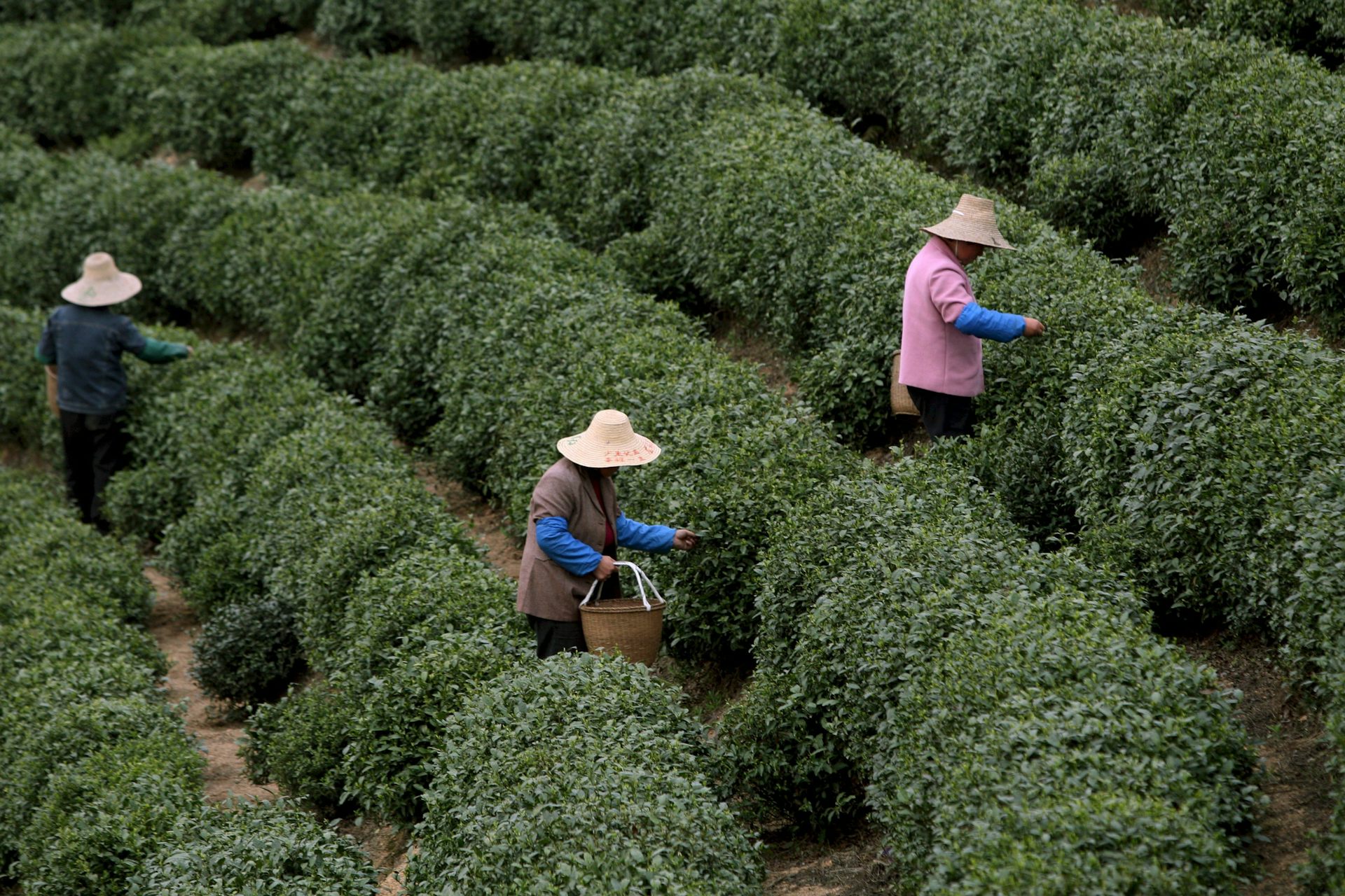 The social side of e-commerce: lessons from rural China