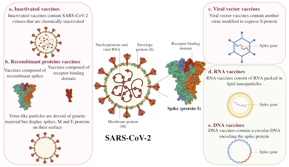 COVID 19 Vaccine Update Pfizer May Be The Frontrunner But Canada Has covid-19-vaccine-update-pfizer-may-be-the-frontrunner-but-canada-has