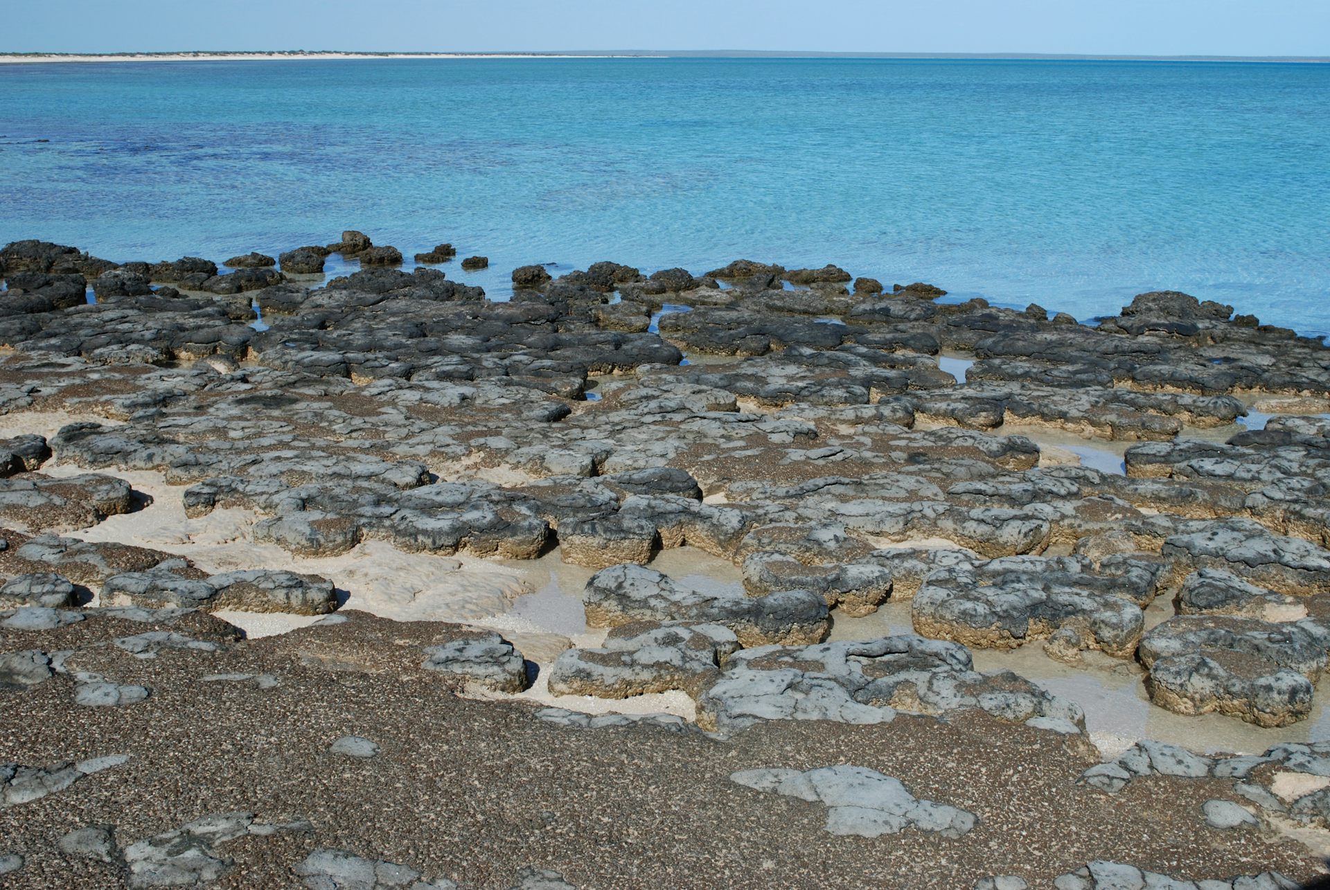 How chemical clues from prehistoric microbes rewrote the story of one ...