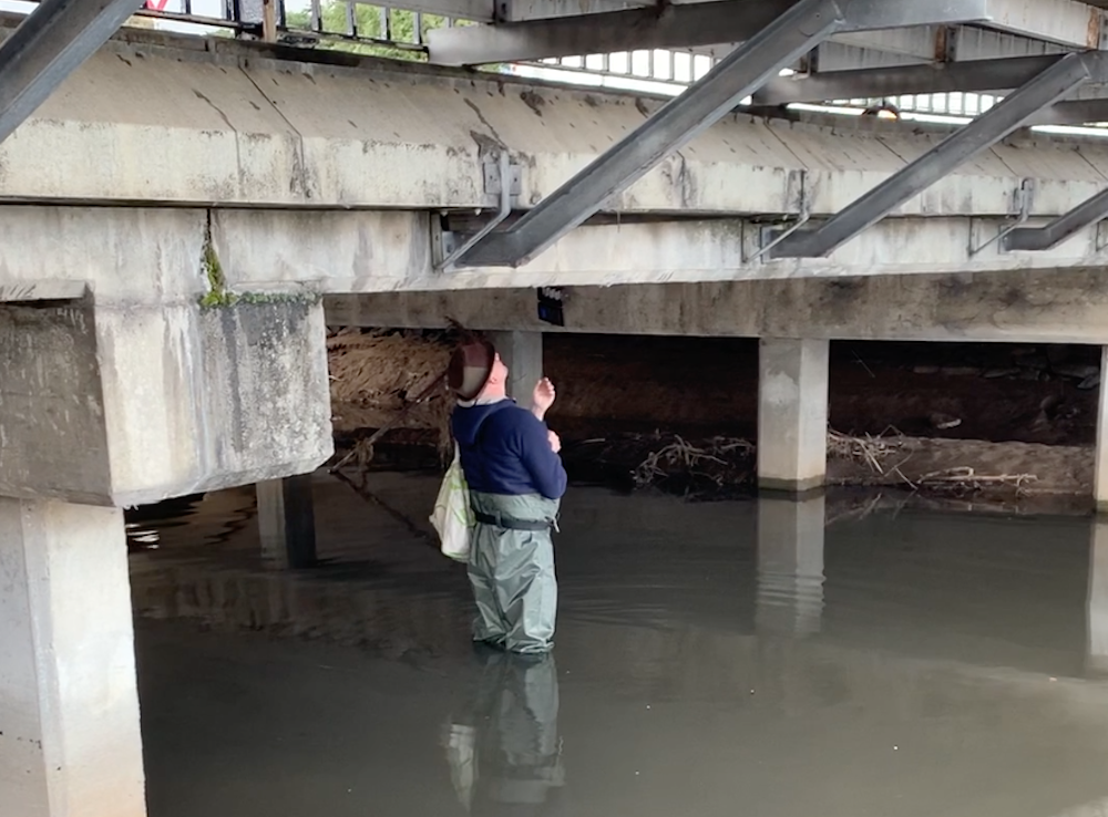 Using Cameras And Ai To Build An Automatic Litter Detection System