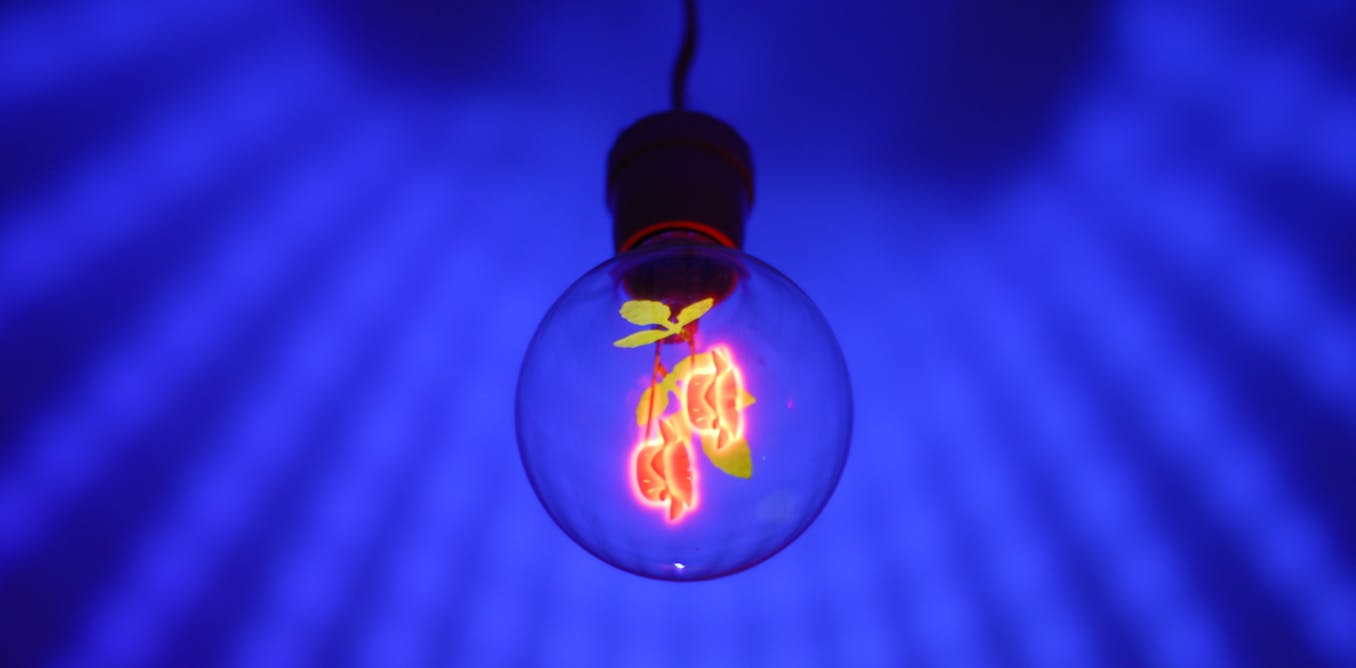 DIY Scientists Should Not Trade Creativity For Funding diy-scientists-should-not-trade-creativity-for-funding