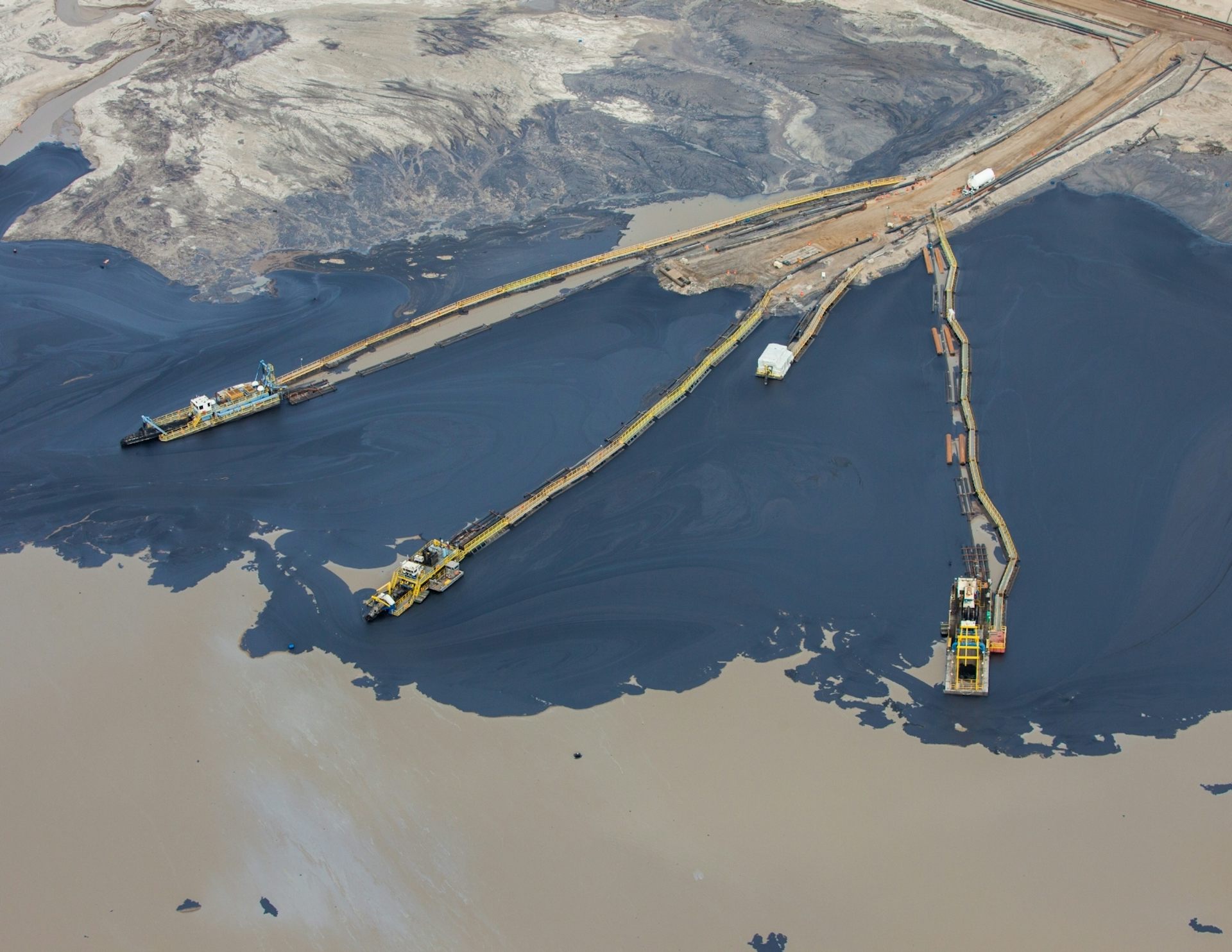 How plants can help clean up oilsands tailing ponds