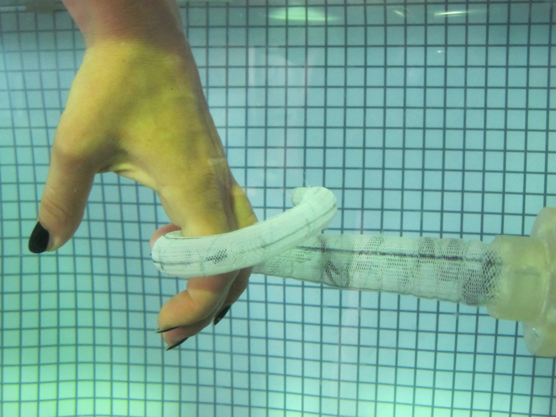 C’est dur d’inventer des robots souples