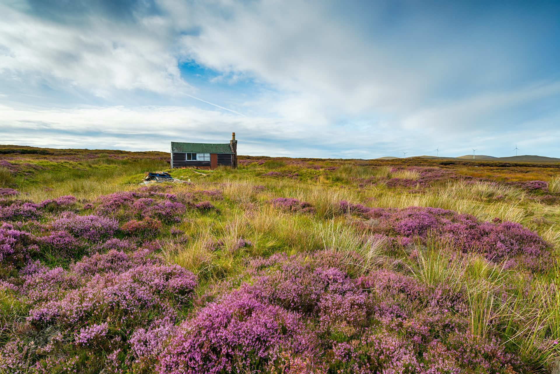 Peat bogs: restoring them could slow climate change – and revive a ...