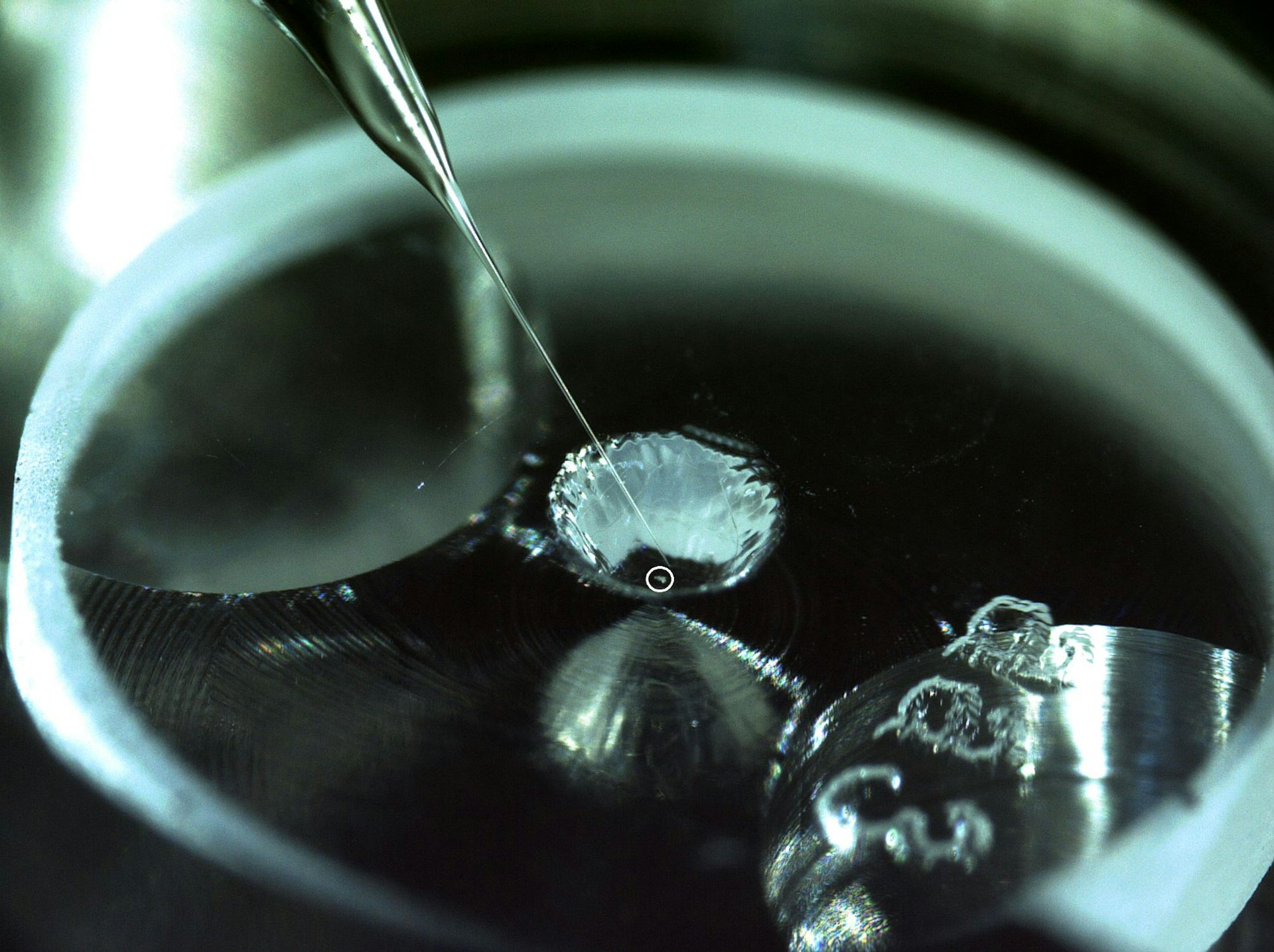 How asteroid dust helped us prove life’s raw ingredients can evolve in ...