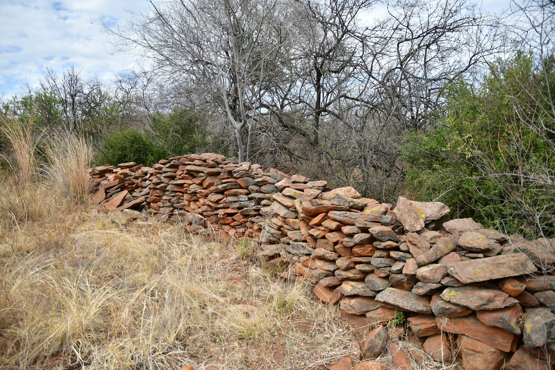 A forgotten settlement in the Cradle of Humankind adds a note to ...