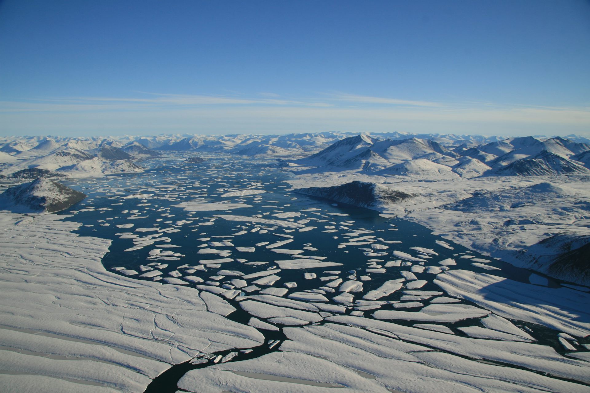 Canadian ice shelves halve in six years