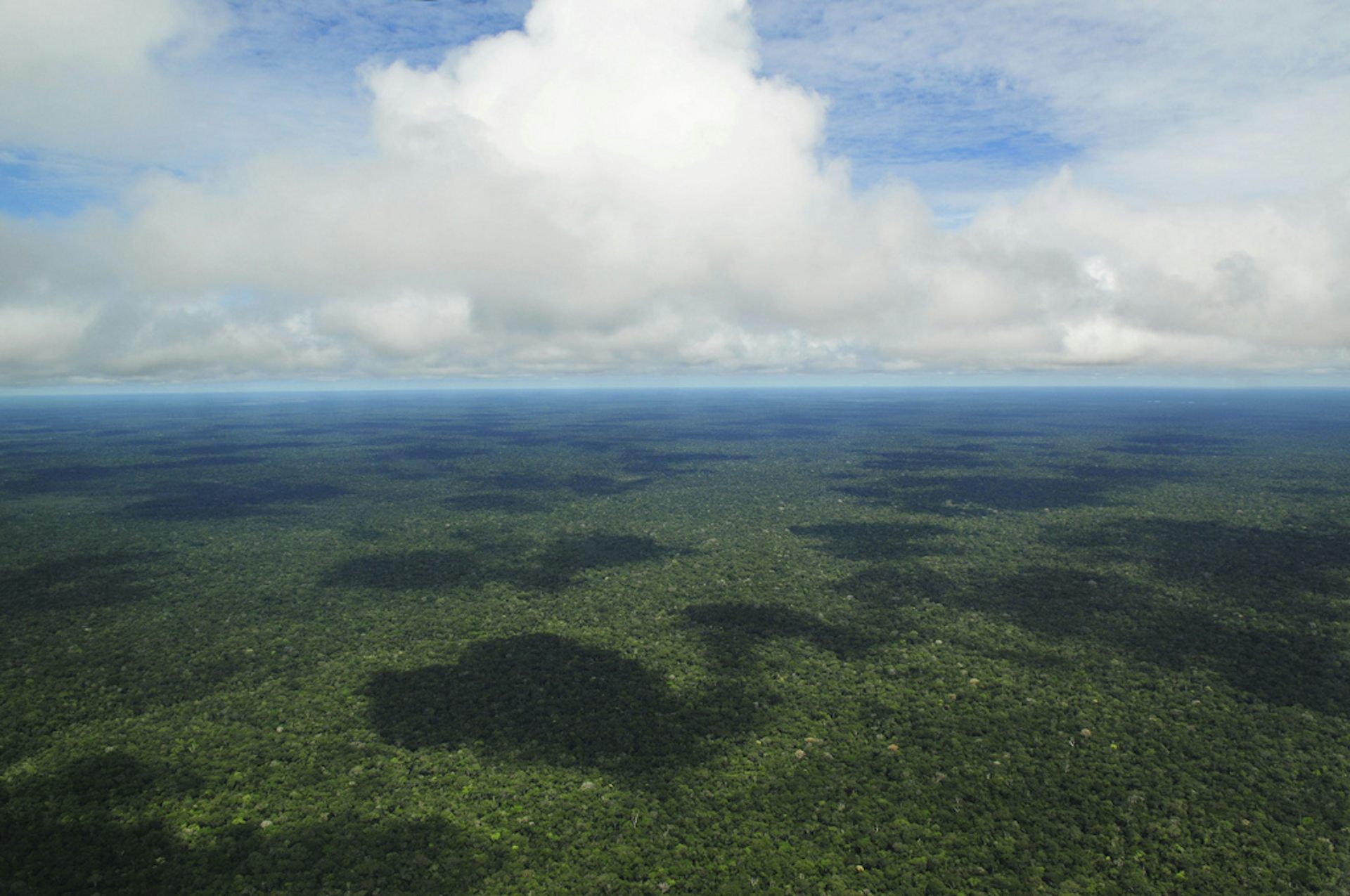 Drying Amazon threatens to increase carbon emissions