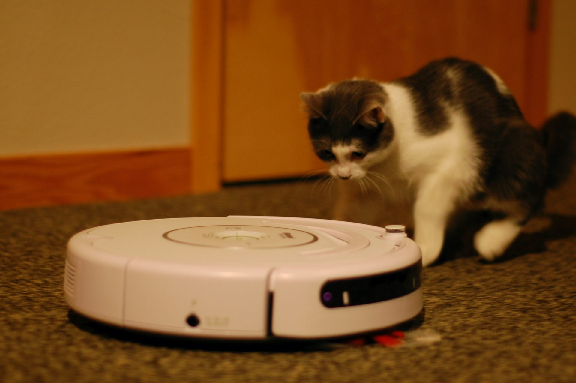 What to expect from Dyson’s new robotics lab