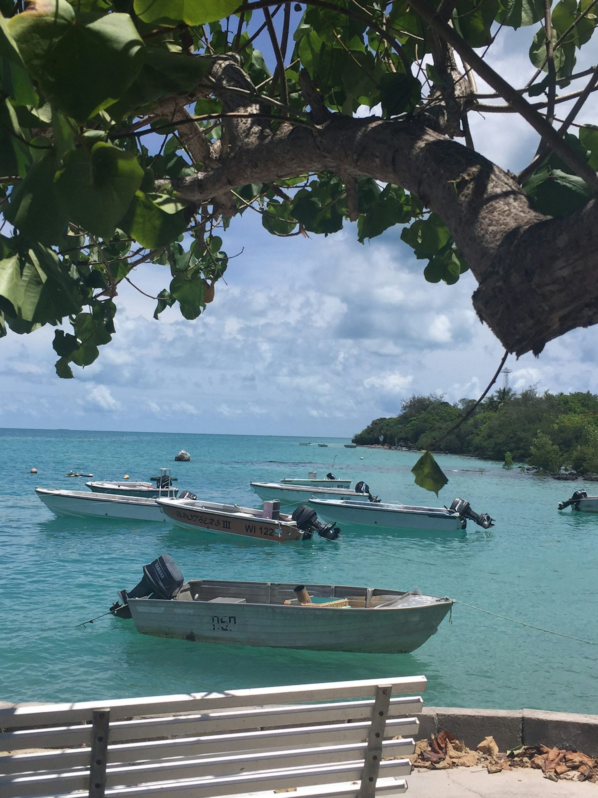 Torres Strait Islanders face more than their fair share of health ...