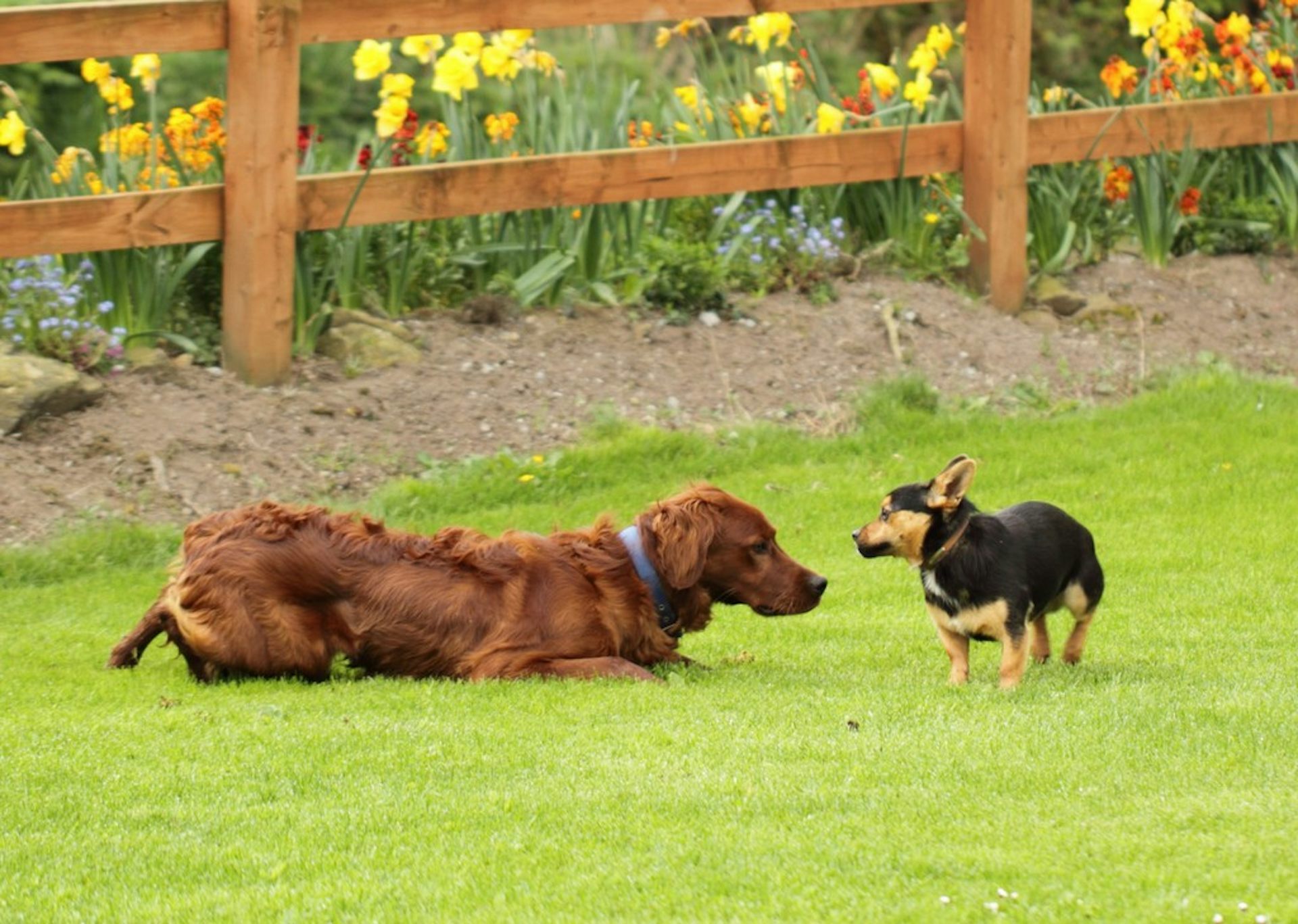 The right kind of growth? Only if you stand to benefit from it