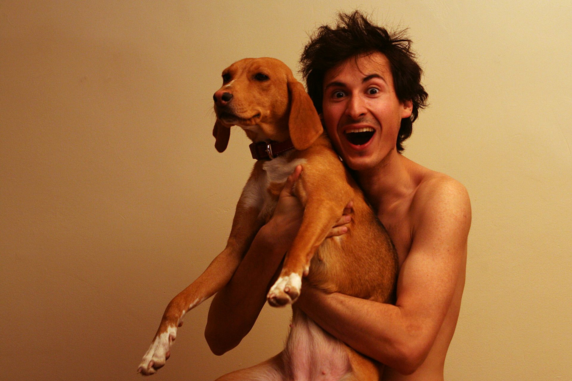 Dogs hear human happiness – it’s in his (or her) master’s voice