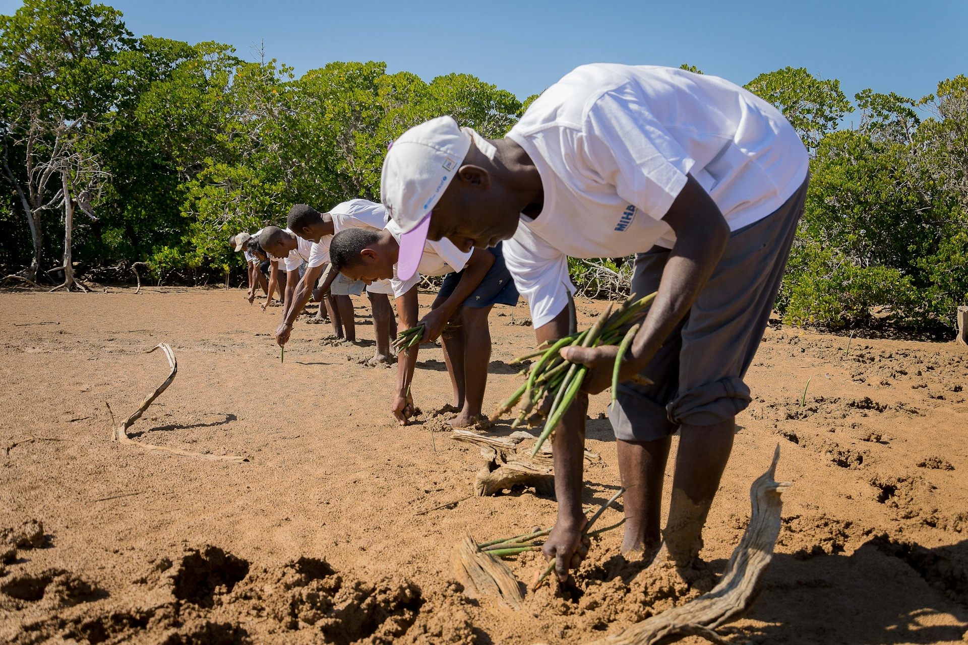 Conservation works better when local communities lead it, new evidence ...