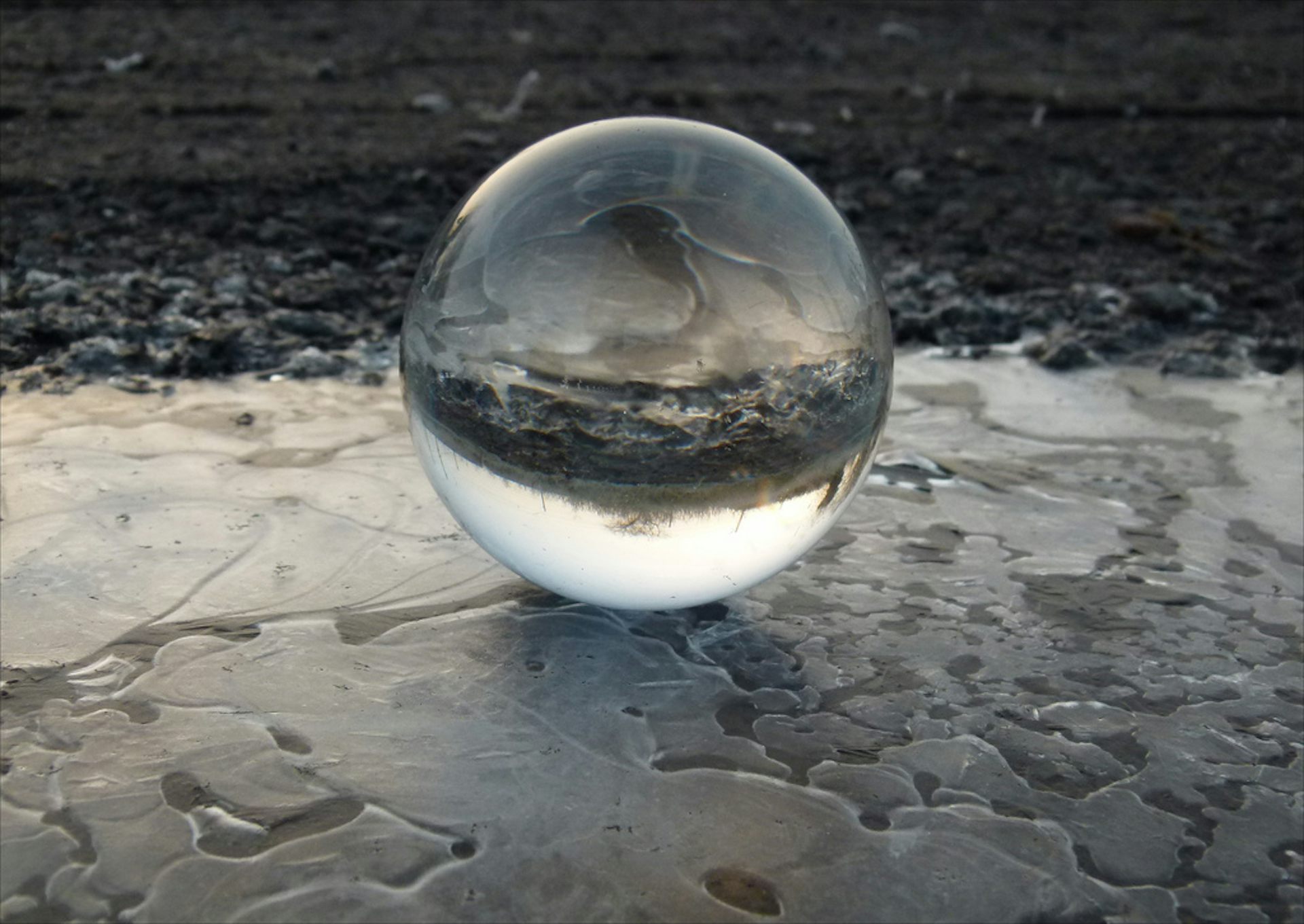 Scientists create accurate predictor of the next flu virus