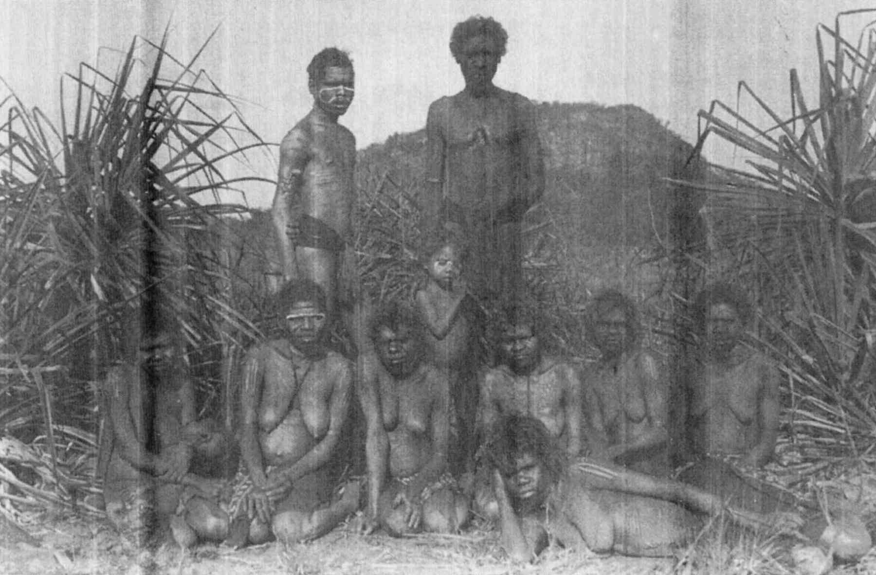 Débat « Lady Sapiens Un Nouveau Stéréotype Des Femmes Préhistoriques