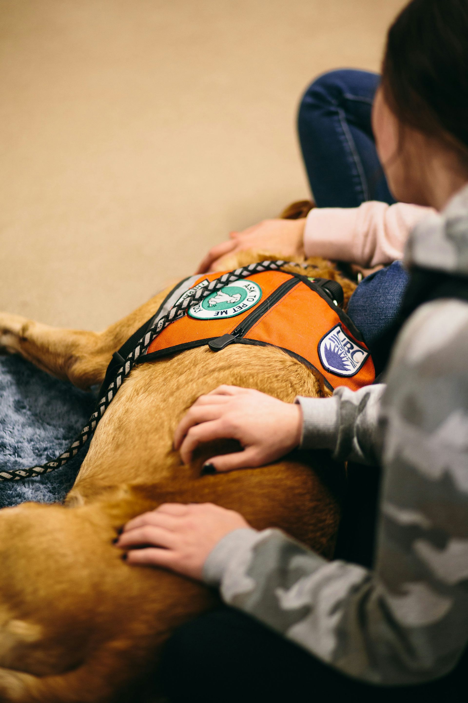 Are you a distressed student? Here’s how therapy dogs can help