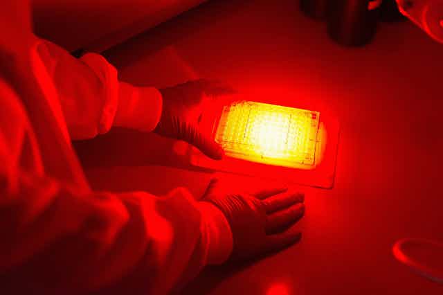 Terapia Fotodinámica Cómo Curar El Cáncer Con Luz