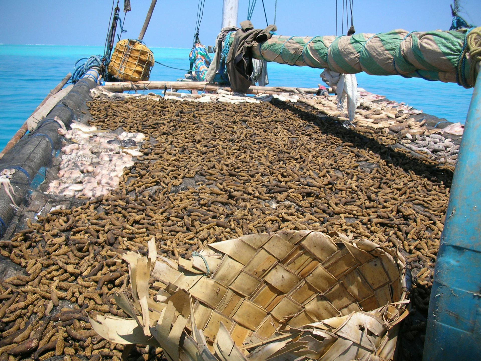 Sailing south: why Indonesian fishers risk apprehension in Australian ...