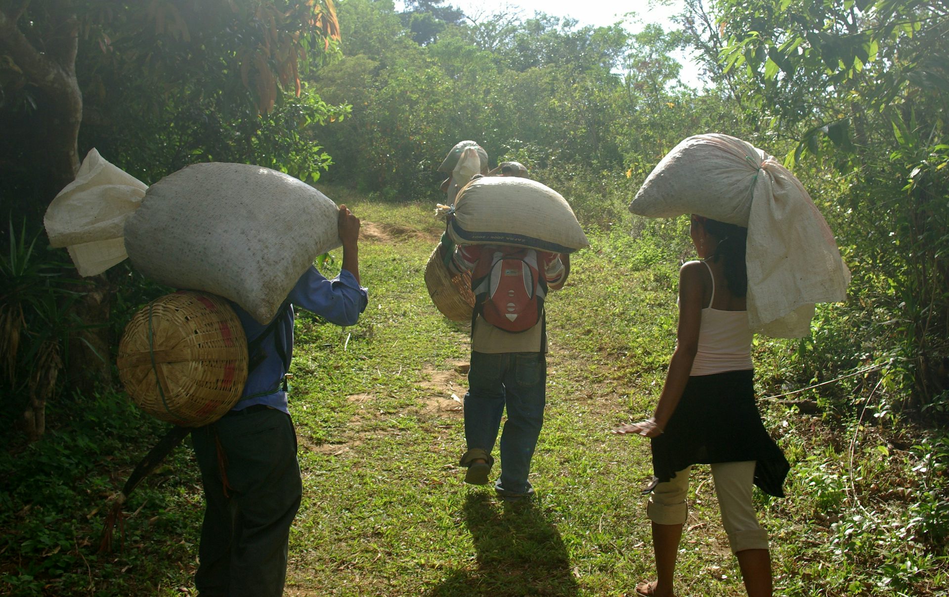 Fair for who? The crisis of Fairtrade for coffee farmers