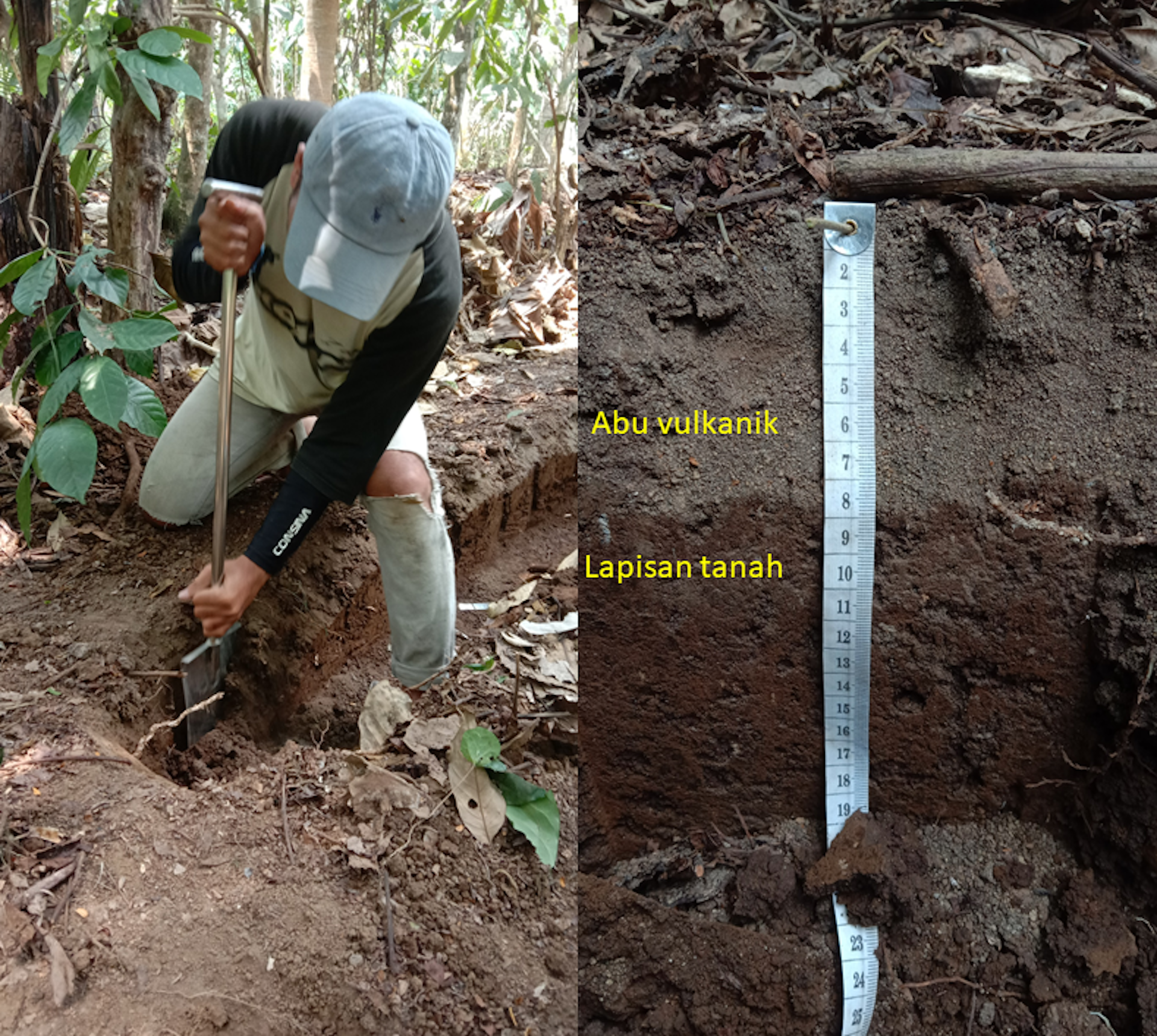 Tanah Vulkanik