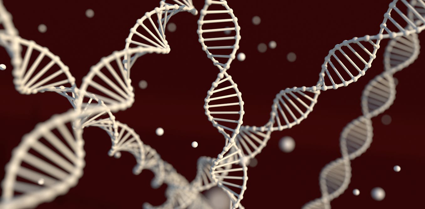 Genetics helps estimate the risk of disease – but how much does it ... Genetics helps estimate the risk of disease – but how much does it ...