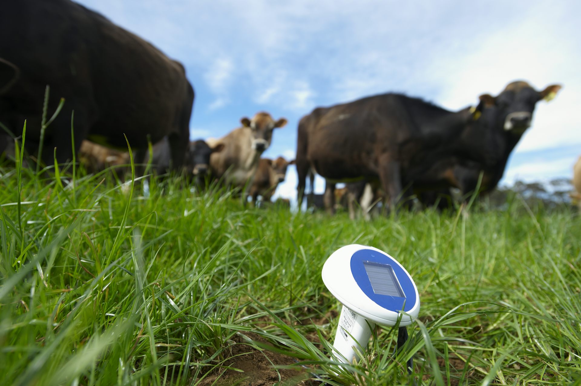 Rural Australia has innovation lessons to teach us all