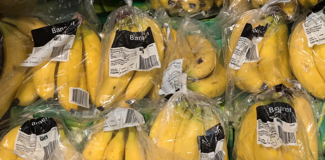 Emerging Tech In The Food Transport And Energy Sector Can Help Counter emerging-tech-in-the-food-transport-and-energy-sector-can-help-counter