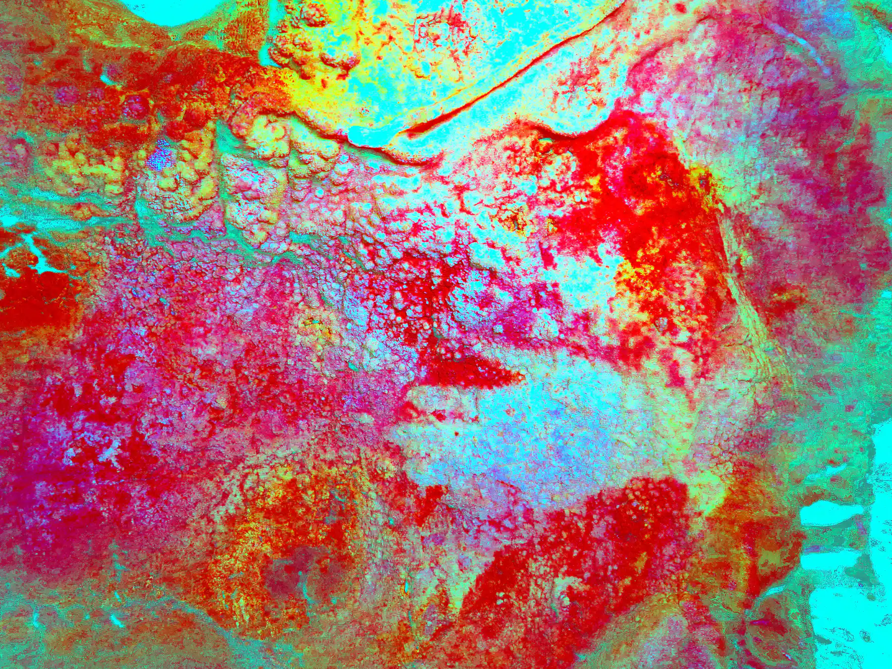 Ancient Cave Art How New Hi tech Archaeology Is Revealing The Ghosts ancient-cave-art-how-new-hi-tech-archaeology-is-revealing-the-ghosts