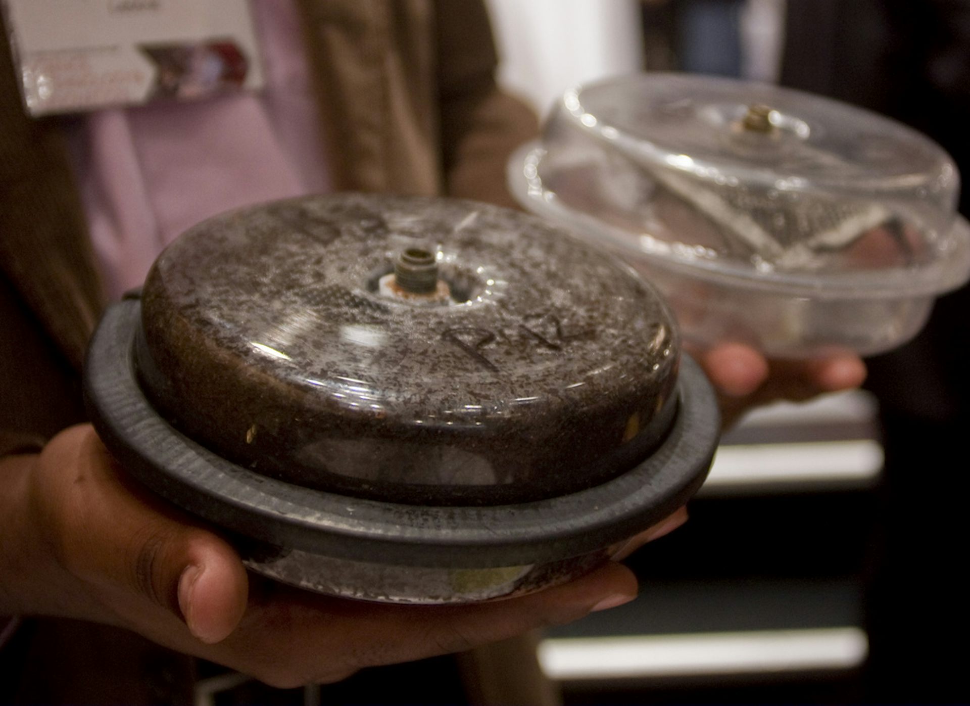 Mud power: how bacteria can turn waste into electricity