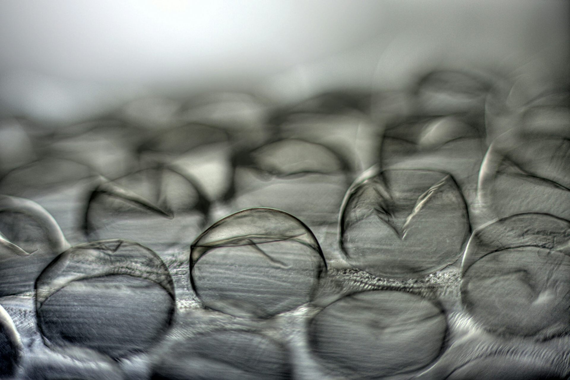 To know whether we face a new dot com bubble, look at how we work and ...