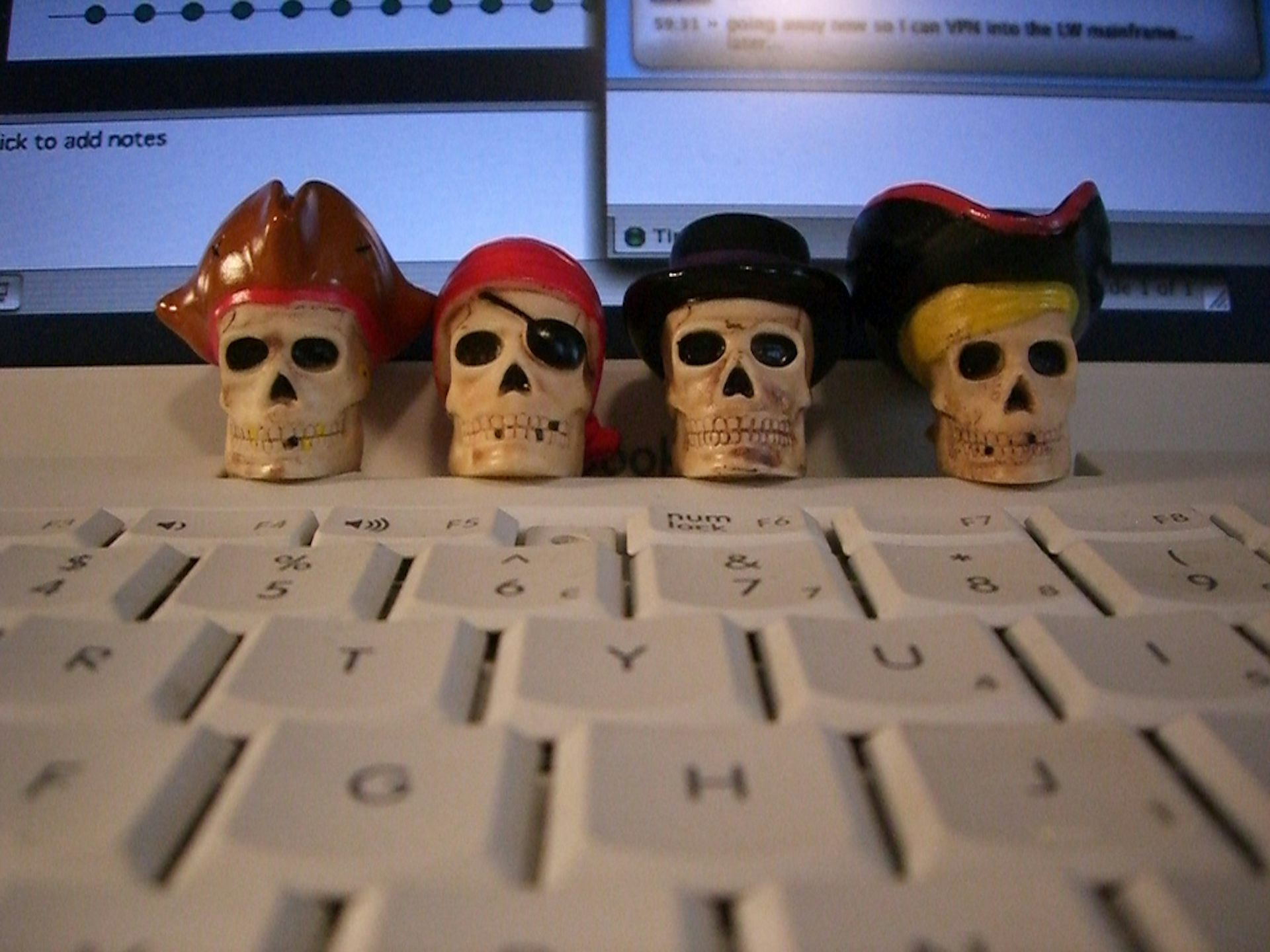 Stop the pirates? Behind Brandis’ copyright crusade