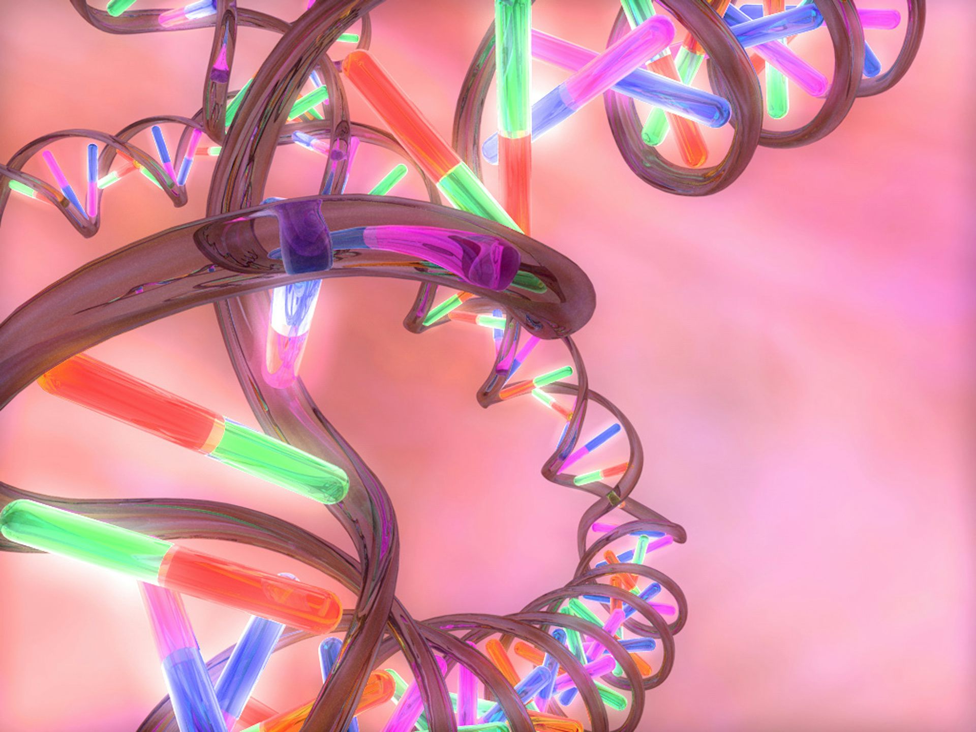 Explainer: what is genetic risk?