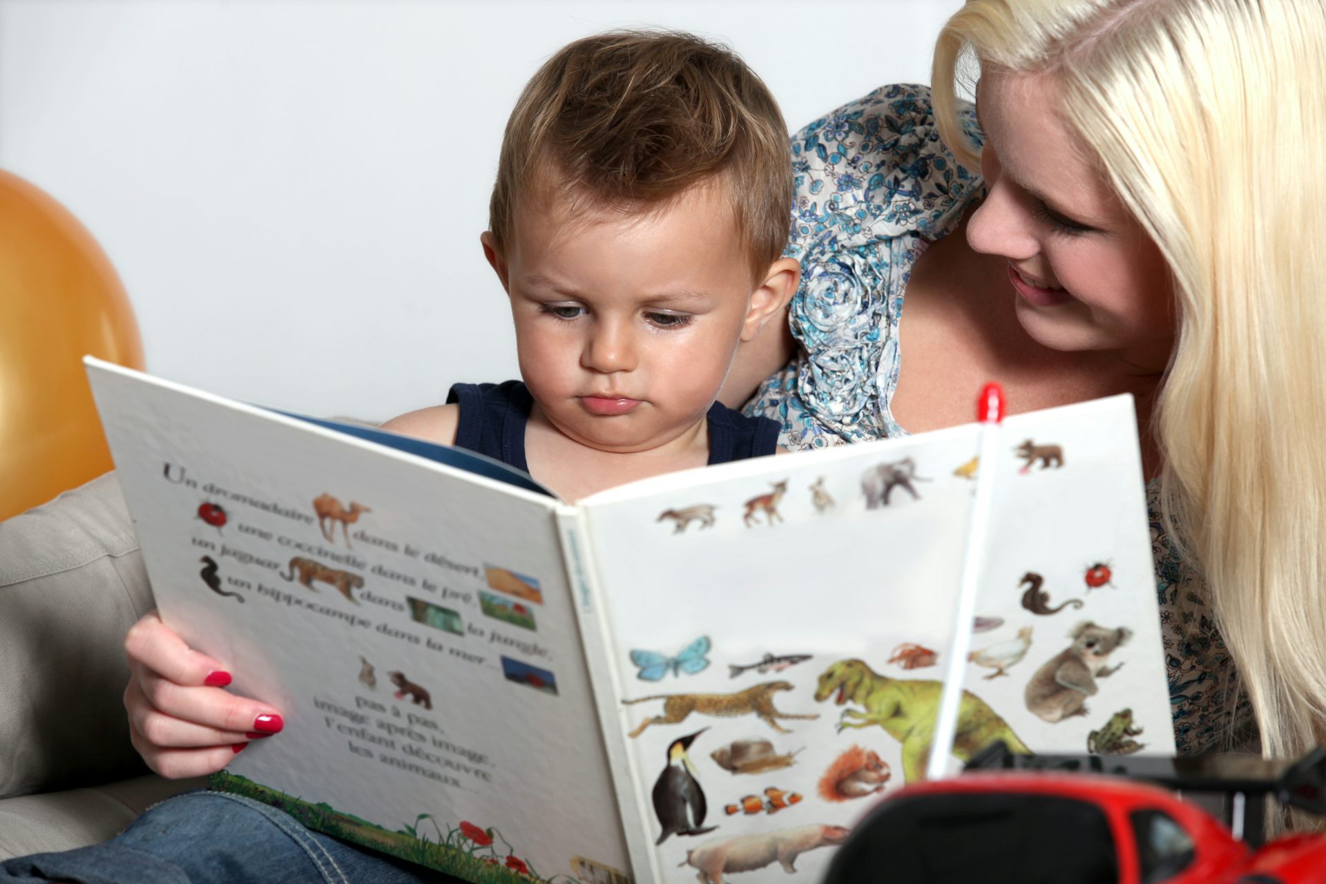 Babies can learn about the real world from pictures