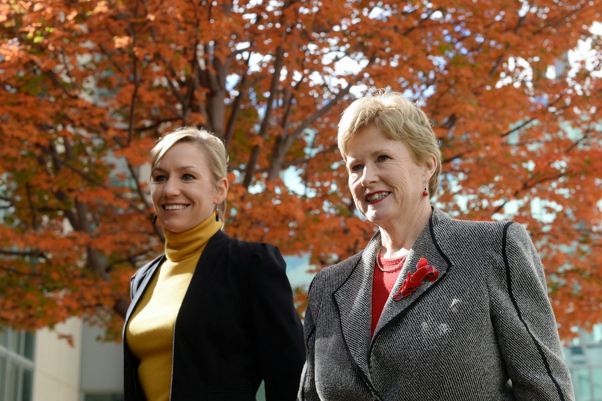 A national ICAC? We need better anti-corruption bodies, not more