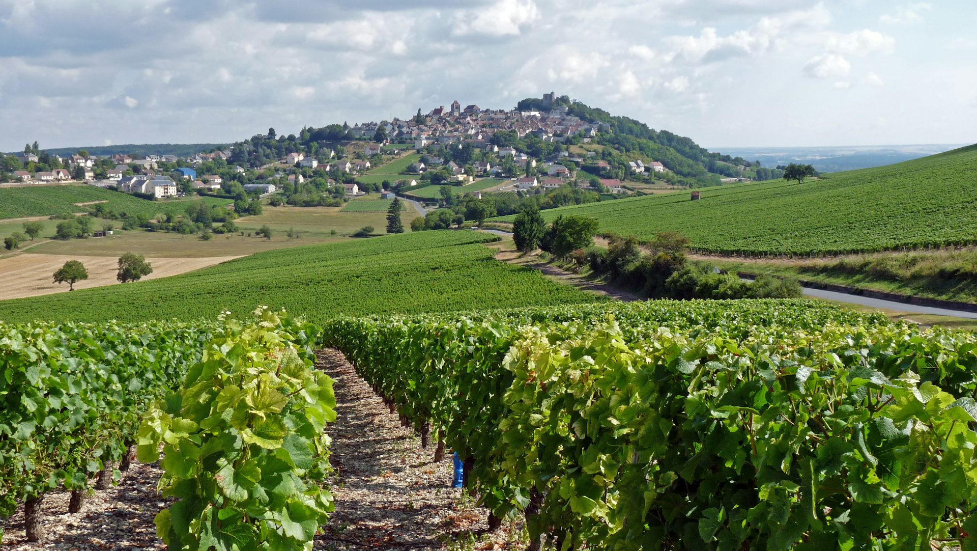 Sancerre, symbiose de la géologie et du terroir