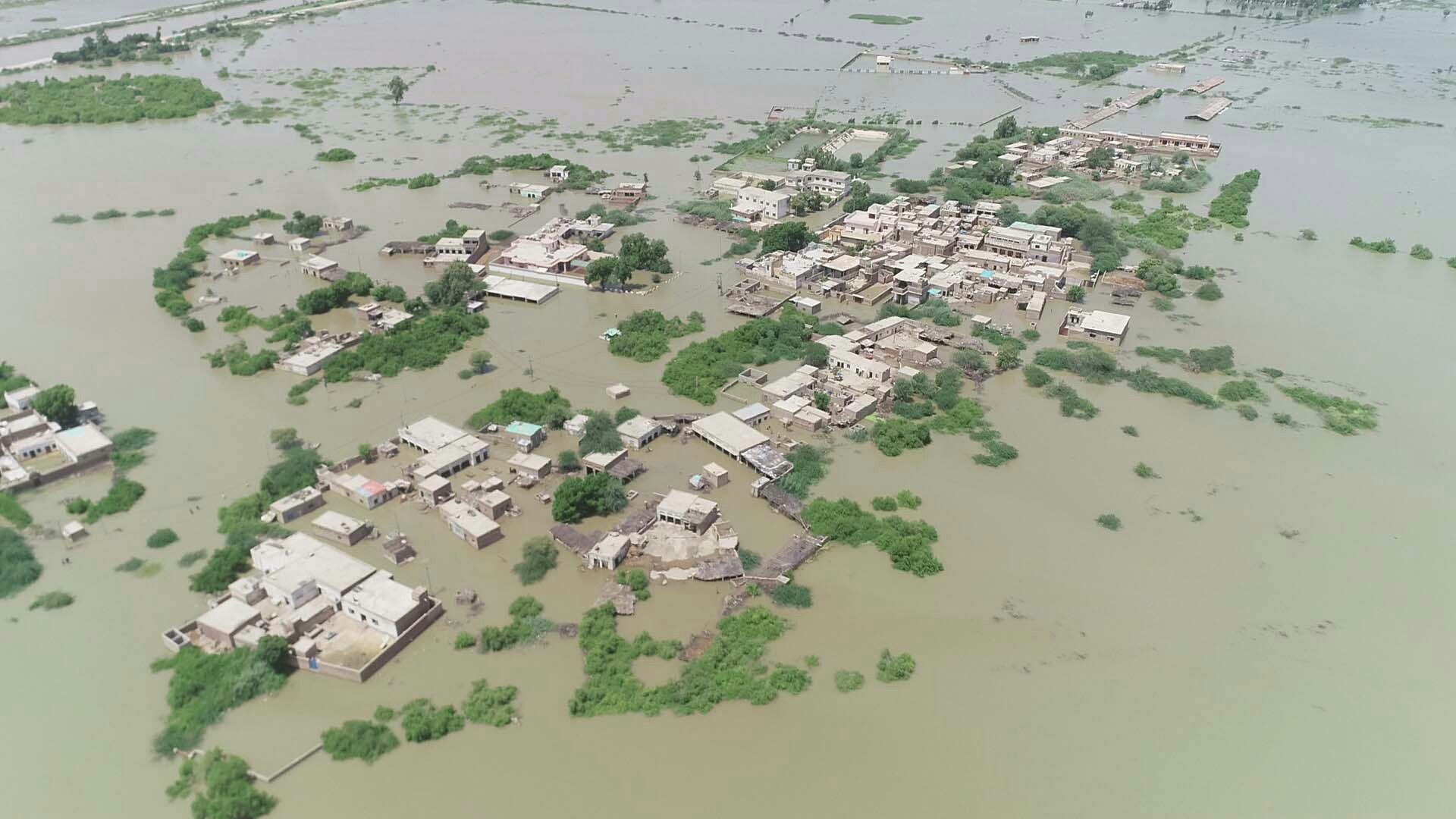 The climate crisis is real – but overusing terms like ‘crisis’ and ...