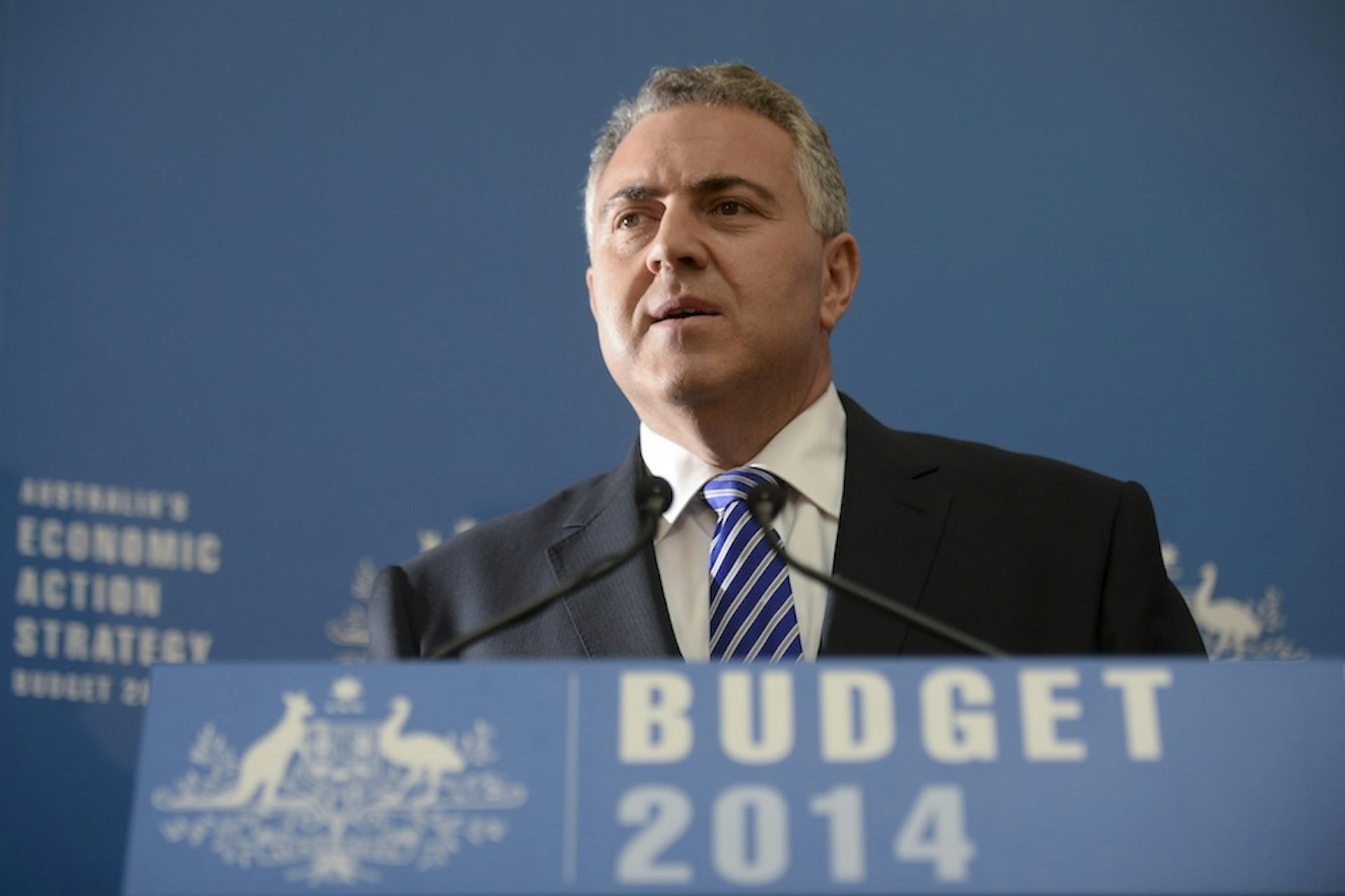 Federal budget 2014: economists react