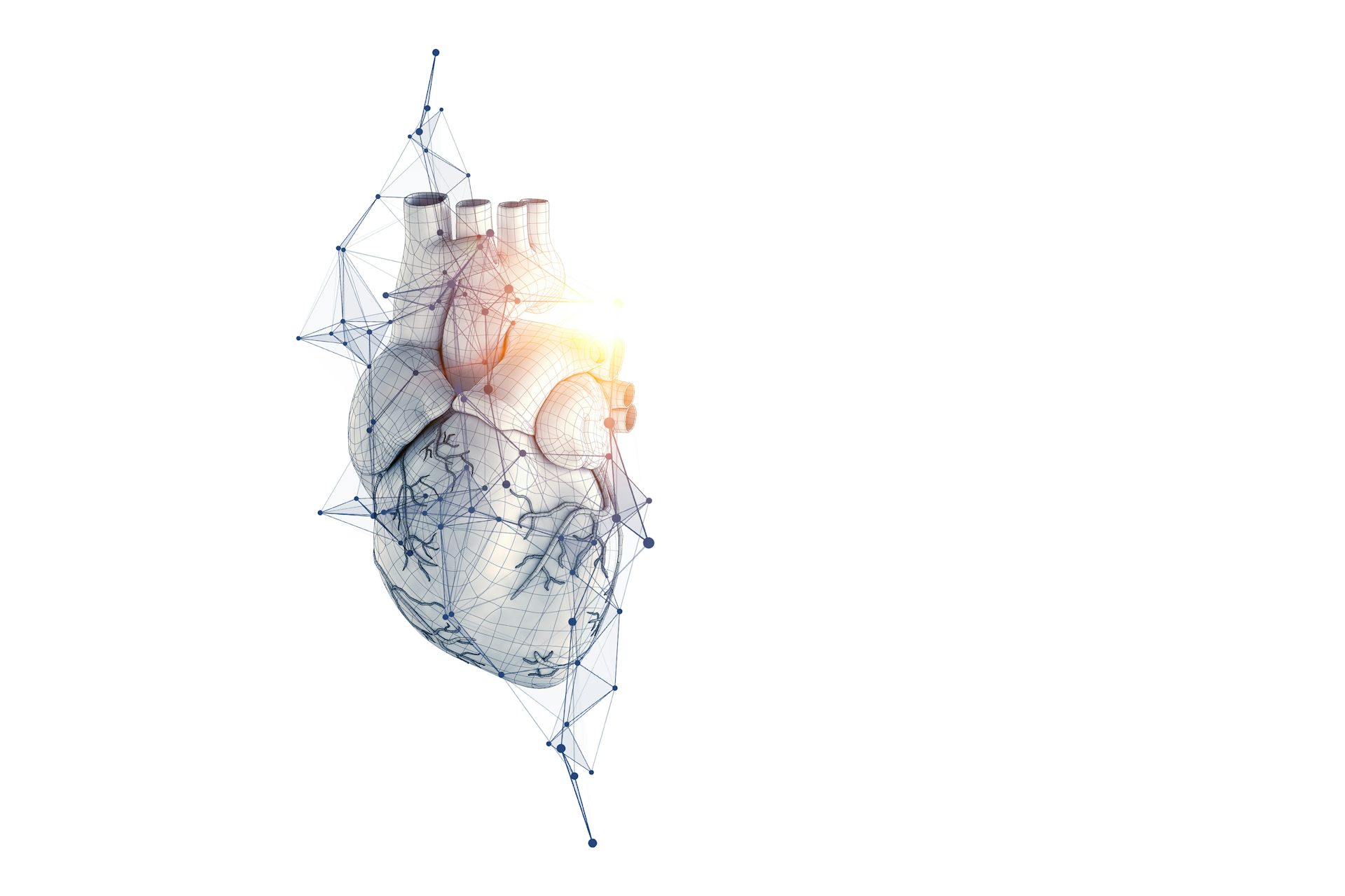 Insuffisance cardiaque avancée : vers de nouvelles solutions