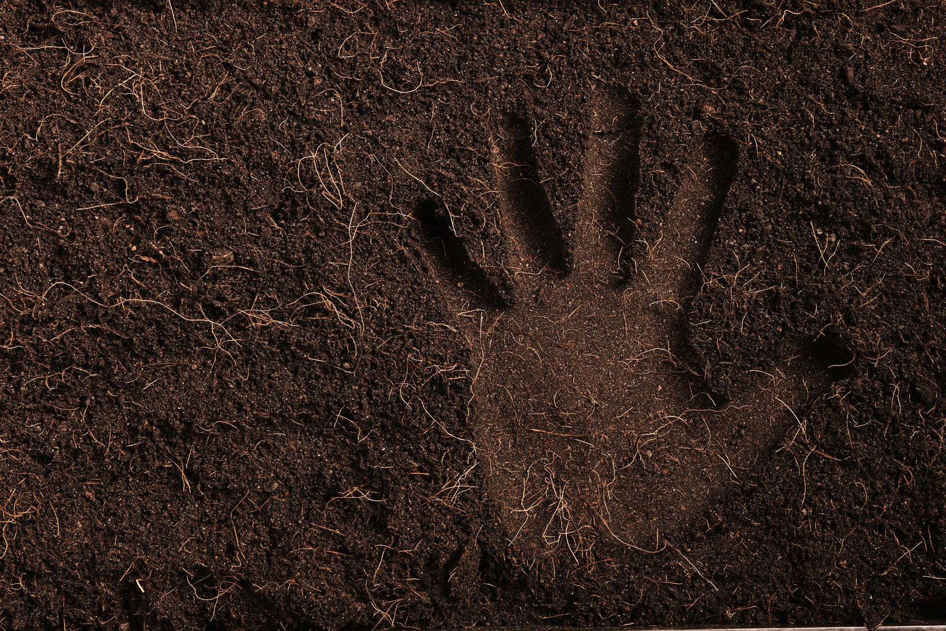 Compostage des défunts : les enjeux sanitaires d’une nouvelle pratique ...