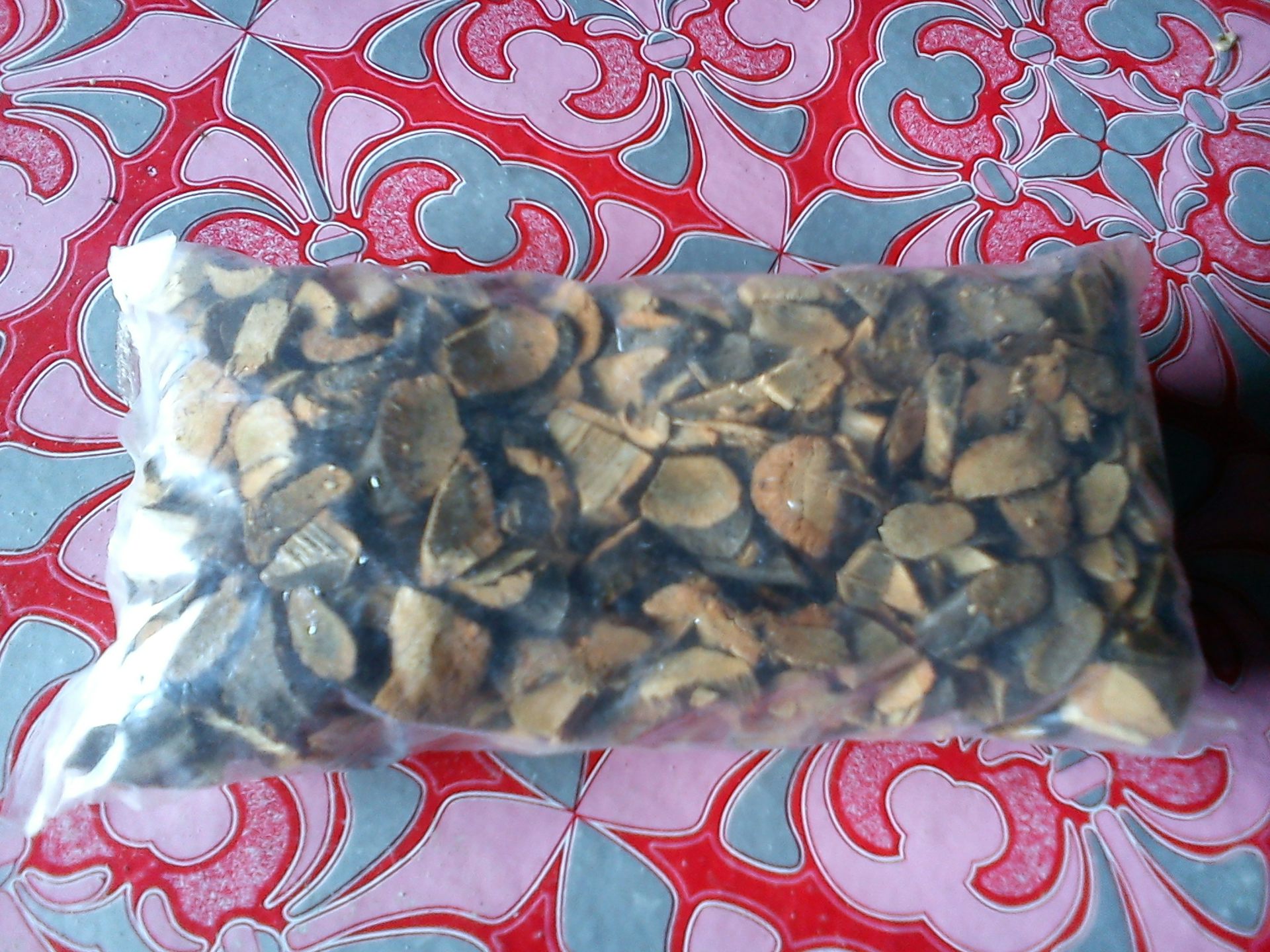 Apa itu hutan kerangas? ekosistem rapuh yang jadi ‘surga’ tanaman obat