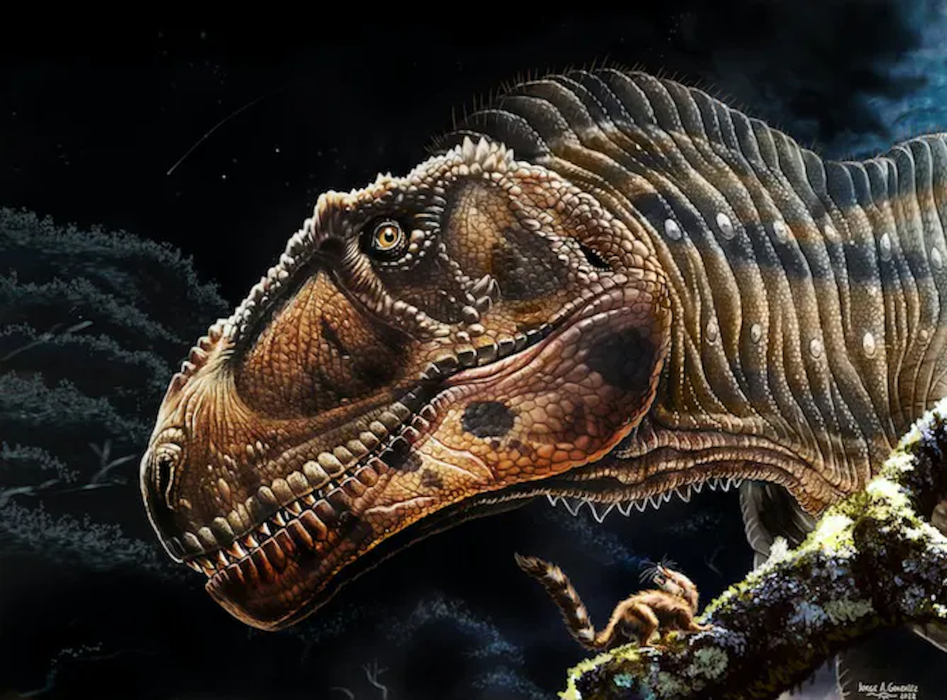 The huge dinosaur just discovered has an evolutionary path similar to ...
