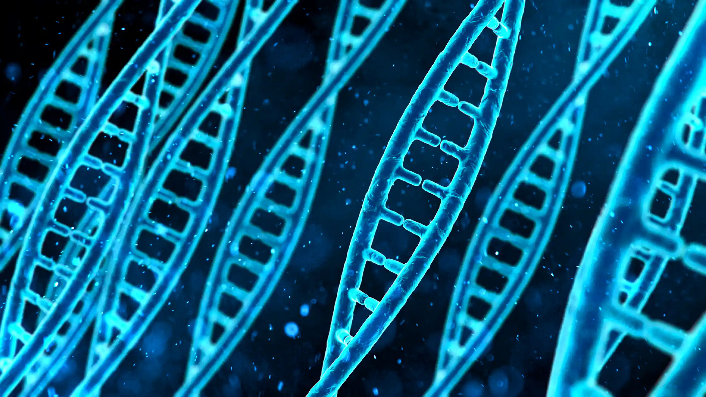 Epilepsy Gene Therapy Technique Targeting Overactive Brain Cells Shows epilepsy-gene-therapy-technique-targeting-overactive-brain-cells-shows