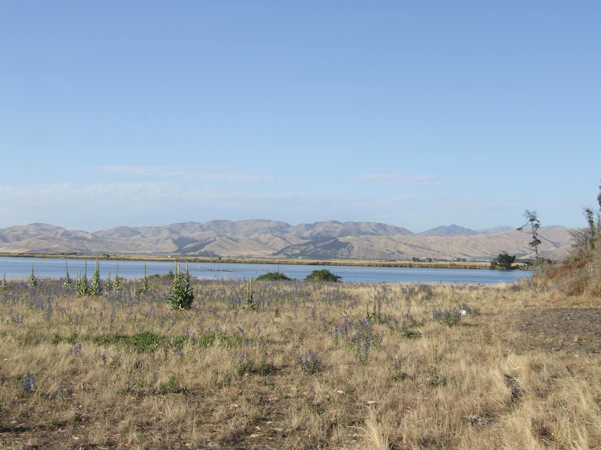 New research shows ancestral Māori adapted quickly in the face of rapid ... New research shows ancestral Māori adapted quickly in the face of rapid ...