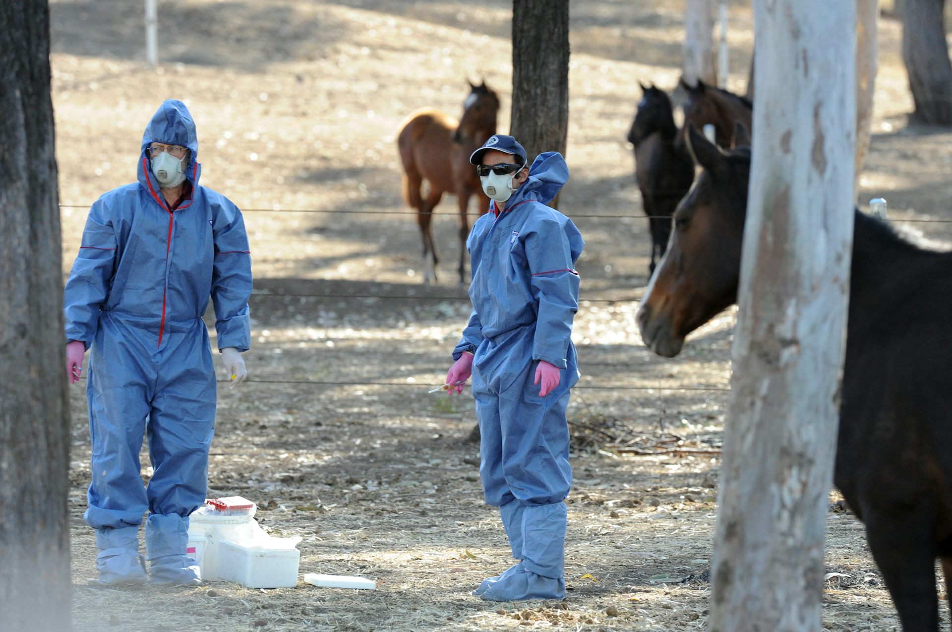 Pestilence, pandemics, and climate change: public lecture
