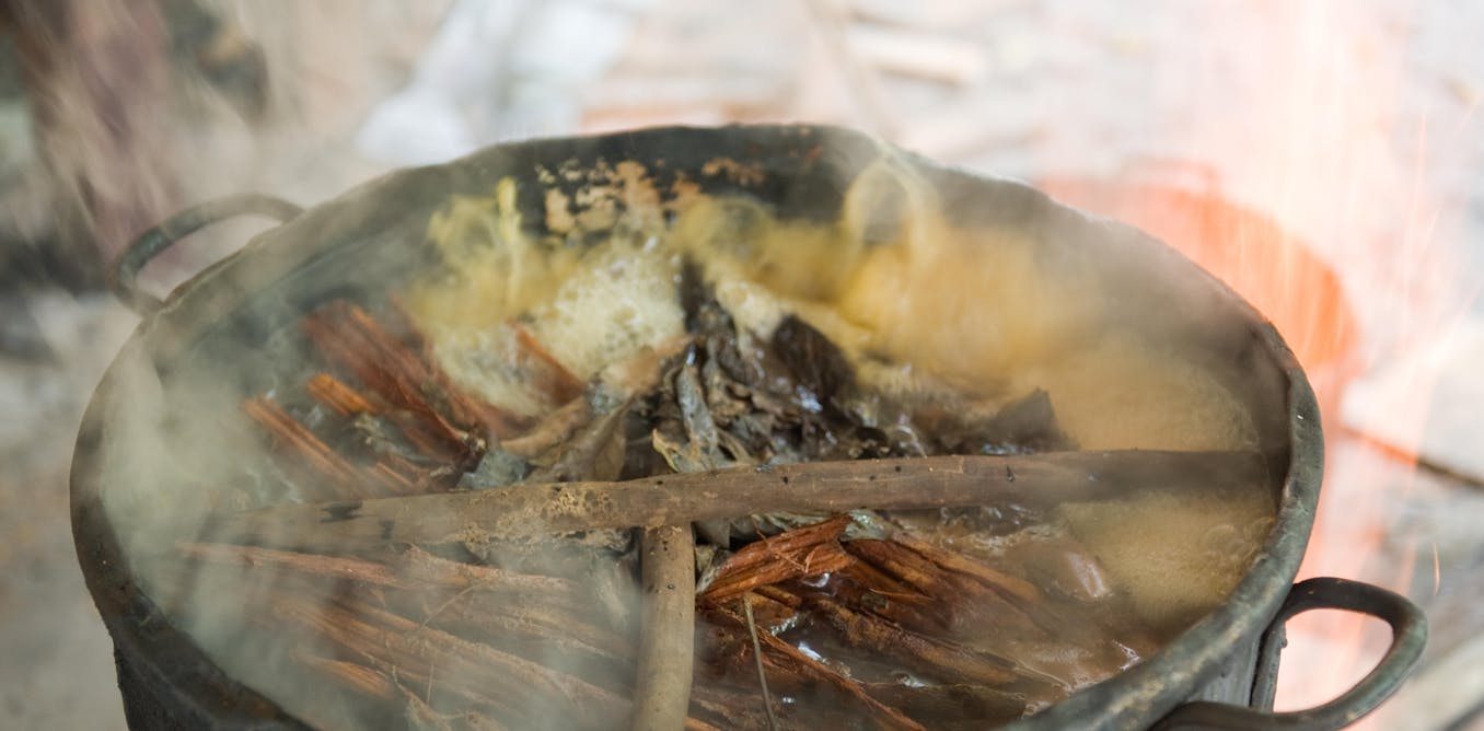 Ayahuasca Just How Safe Is This Psychoactive Brew